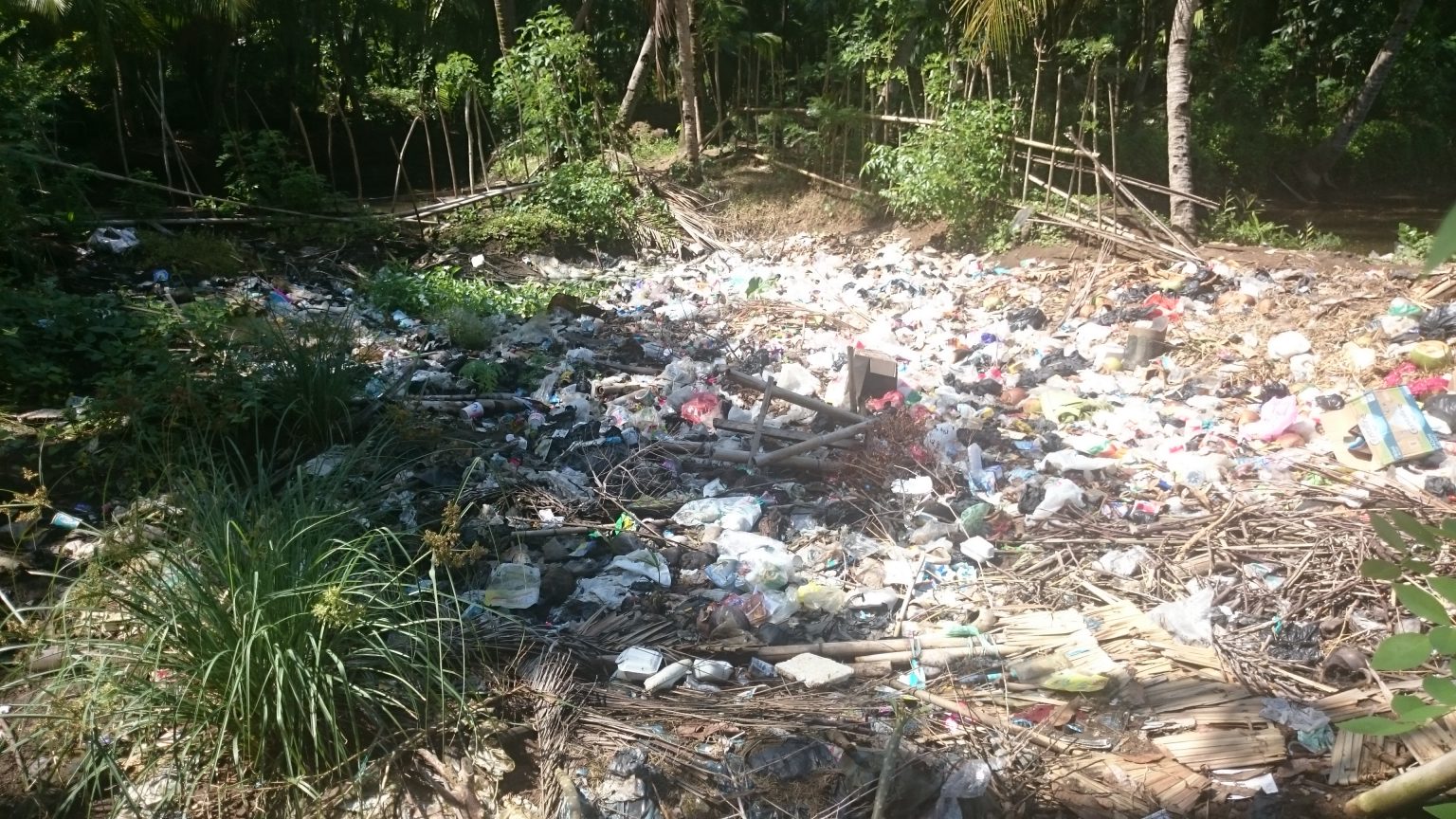Developing effective waste management systems in Indonesia - CLEAR ...